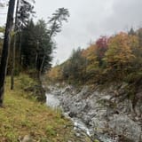 Quechee Gorge Trail, Vermont - 1,229 Reviews, Map | AllTrails