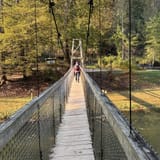 Natural Bridge and Laurel Ridge Trail Loop, Kentucky - 2,208 Reviews ...