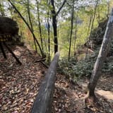 Natural Bridge and Laurel Ridge Trail Loop, Kentucky - 2,208 Reviews ...