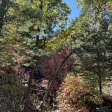 Grindstone Canyon Loop, New Mexico - 1,739 Reviews, Map | AllTrails