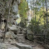 Natural Bridge and Laurel Ridge Trail Loop, Kentucky - 2,208 Reviews ...