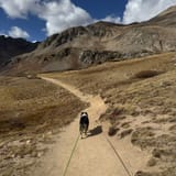 Herman Gulch Trail, Colorado - 9,687 Reviews, Map | AllTrails