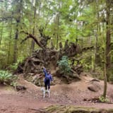 Point Defiance Park Outer Loop, Washington - 4,869 Reviews, Map | AllTrails