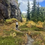 Century Sam Lake, British Columbia, Canada - 608 Reviews, Map | AllTrails