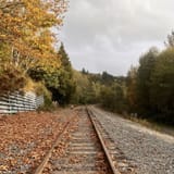 Japanese Gulch Loop Trail, Washington - 1,254 Reviews, Map | AllTrails
