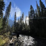Emerald Lake Loop, British Columbia, Canada - 3,886 Reviews, Map ...