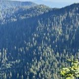 Iron Mountain Trail, Oregon - 596 Reviews, Map | AllTrails