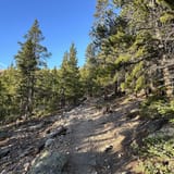 North Mount Elbert Trail, Colorado - 7,279 Reviews, Map | AllTrails