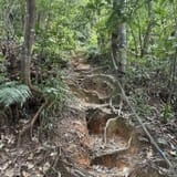 Mount Ishikawa Loop, Okinawa, Japan - 216 Reviews, Map | AllTrails