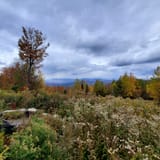 Stowe Pinnacle via Pinnacle Meadow Trail, Vermont - 2,693 Reviews, Map ...
