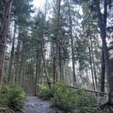 Heather Lake Trail, Washington - 7,444 Reviews, Map | AllTrails