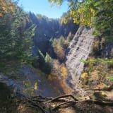 Whetstone Gulf Trail, New York - 790 Reviews, Map | AllTrails