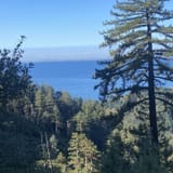 Tanbark Trail and Tin House Loop, California - 1,453 Reviews, Map ...