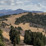 Shrine Ridge Trail, Colorado - 3,617 Reviews, Map | AllTrails