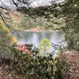 Ferncliff Trail, Pennsylvania - 1,669 Reviews, Map | AllTrails