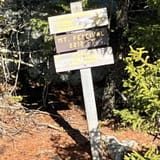 Mount Morgan and Mount Percival Loop, New Hampshire - 4,110 Reviews ...