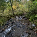 Angel's Rest, Oregon - 9,246 Reviews, Map | AllTrails