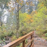 Angel's Rest, Oregon - 9,246 Reviews, Map | AllTrails