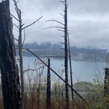 Angel's Rest, Oregon - 9,246 Reviews, Map | AllTrails