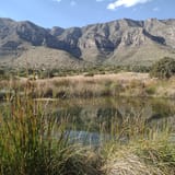 Smith Spring and Manzanita Spring Loop, Texas - 1,616 Reviews, Map ...