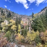 Lower Mill B North Fork Trail, Utah - 2,132 Reviews, Map | AllTrails
