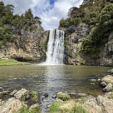 Cossey Massey Loop Track, Auckland, New Zealand - 889 Reviews, Map ...