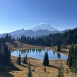 Dewey Lake Trail, Washington - 445 Reviews, Map | AllTrails