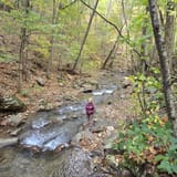 Roaring Run Trail, Virginia - 890 Reviews, Map | AllTrails