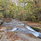 Roaring Run Trail, Virginia - 890 Reviews, Map | AllTrails