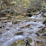 Roaring Run Trail, Virginia - 890 Reviews, Map | AllTrails