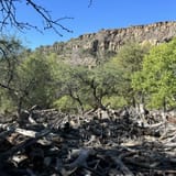 Parsons Trail, Arizona - 745 Reviews, Map | AllTrails