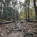 Pole Steeple Trail, Pennsylvania - 997 Reviews, Map | AllTrails