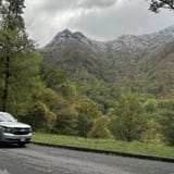 Newfound Gap Road Drive, Tennessee - 438 Reviews, Map | AllTrails