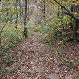 Slide Mountain Trail, New York - 1,820 Reviews, Map | AllTrails