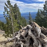 Mount Scott Trail, Oregon - 1,350 Reviews, Map | AllTrails