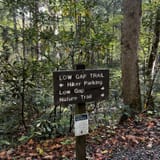 Cosby Nature Trail, Tennessee - 581 Reviews, Map | AllTrails