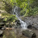 Likeke Falls Trail, Oahu, Hawaii - 3,594 Reviews, Map | AllTrails