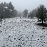 Mount Scott Trail, Oregon - 1,351 Reviews, Map | AllTrails