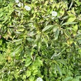 Centennial Trail, Washington - 854 Reviews, Map | AllTrails