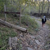 Window Cliffs Trail, Tennessee - 1,597 Reviews, Map | AllTrails