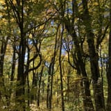 Parnell Tower Trail, Wisconsin - 956 Reviews, Map | AllTrails