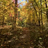 Parnell Tower Trail, Wisconsin - 956 Reviews, Map | AllTrails
