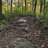 Parnell Tower Trail, Wisconsin - 956 Reviews, Map | AllTrails