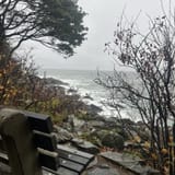 Marginal Way, Maine - 1,832 Reviews, Map | AllTrails
