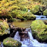 Ravenna Gorge Trail, Baden-Wuerttemberg, Germany - 370 Reviews, Map ...