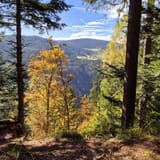 Ravenna Gorge Trail, Baden-Wuerttemberg, Germany - 370 Reviews, Map ...