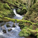 Ravenna Gorge Trail, Baden-Wuerttemberg, Germany - 370 Reviews, Map ...