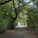 Hampstead Heath Circular, London, England - 1,161 Reviews, Map | AllTrails