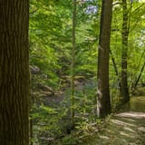 Abraham Lincoln Park White Trail, New York - 1,747 Reviews, Map | AllTrails