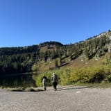 Tony Grove Nature Trail, Utah - 252 Reviews, Map | AllTrails